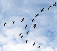 Control Systems | "DeltaV Connect" Eases Control System Migration | Control Global | Control Global