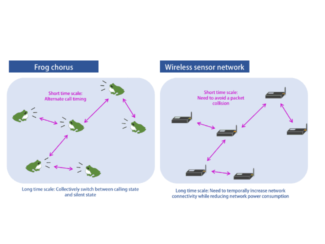 Using frog choruses to better wireless sensor networks | Control Global
