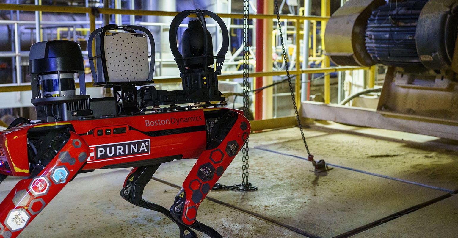 How Spot the Robotic Dog is Revolutionizing Efficiency at Nestlé Purina ...